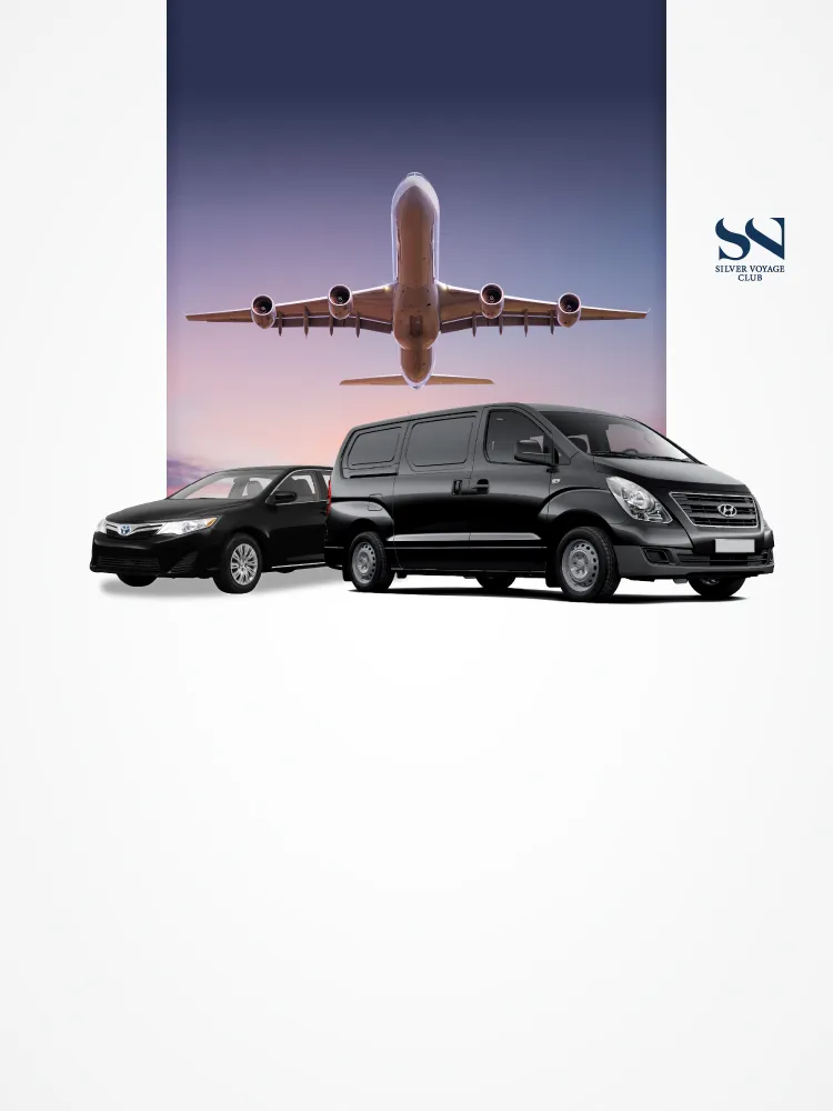 Limousine BY SILVER VOYAGE 2022