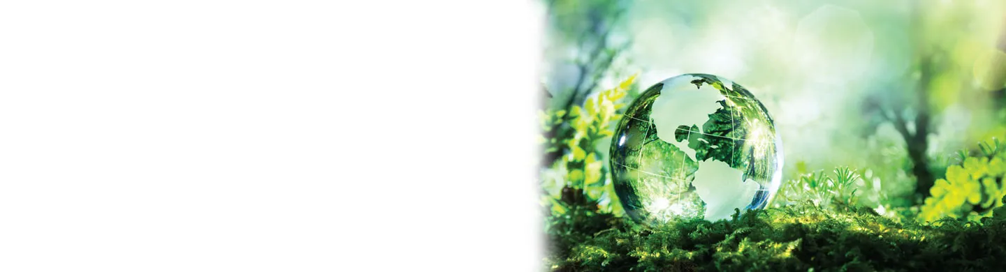 Environmental and Energy Conservation Policy