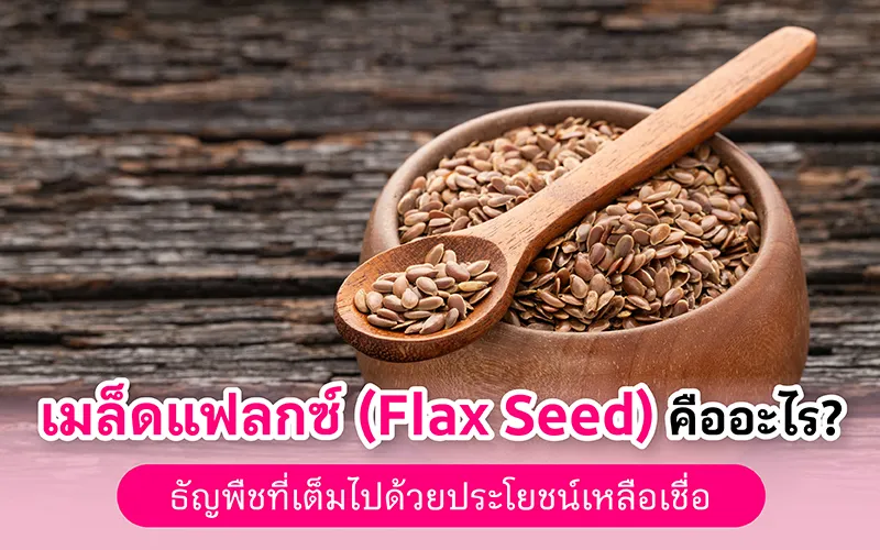 เมล็ดแฟลกซ์ (Flax Seed) คืออะไร? ธัญพืชที่เต็มไปด้วยประโยชน์เหลือเชื่อ