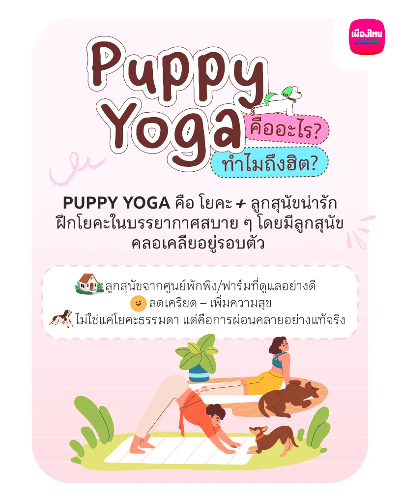 Puppy Yoga เทรนด์ โยคะลดความเครียด 2025