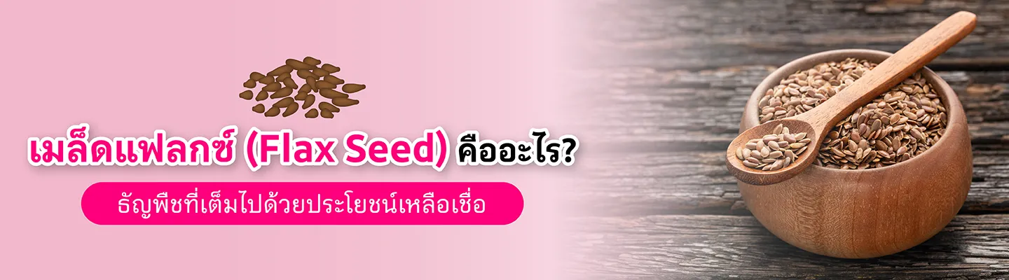 เมล็ดแฟลกซ์ (Flax Seed) คืออะไร? ธัญพืชที่เต็มไปด้วยประโยชน์เหลือเชื่อ